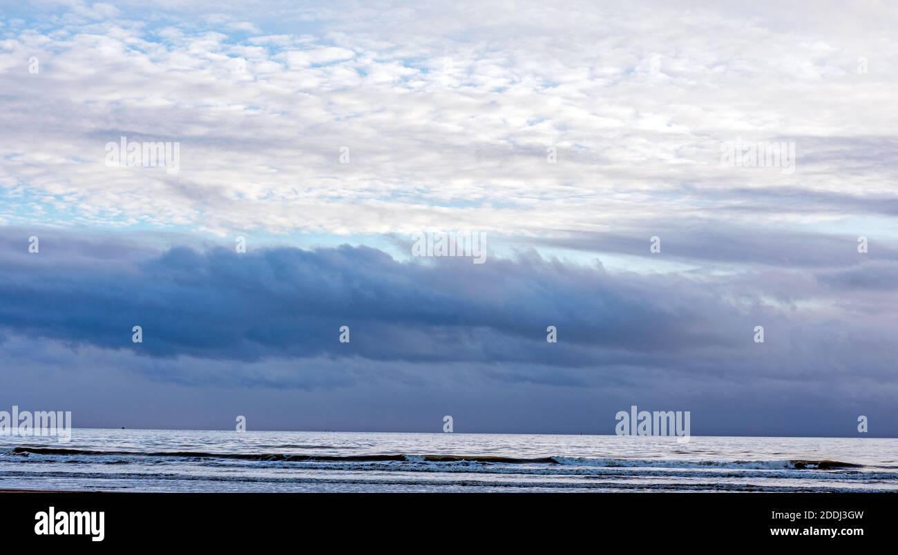 Sea camber hi-res stock photography and images - Alamy