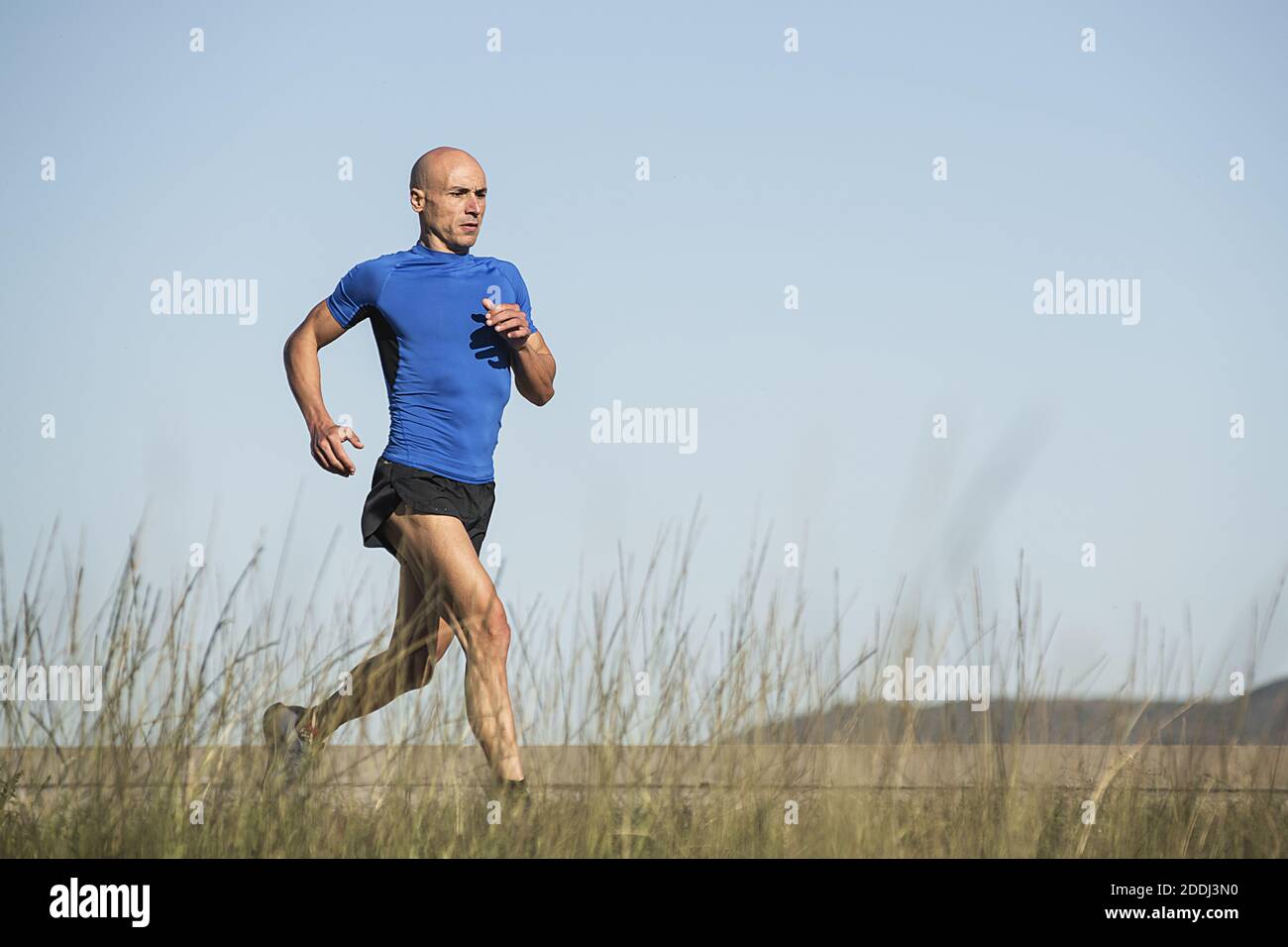 Rash field hi-res stock photography and images - Alamy