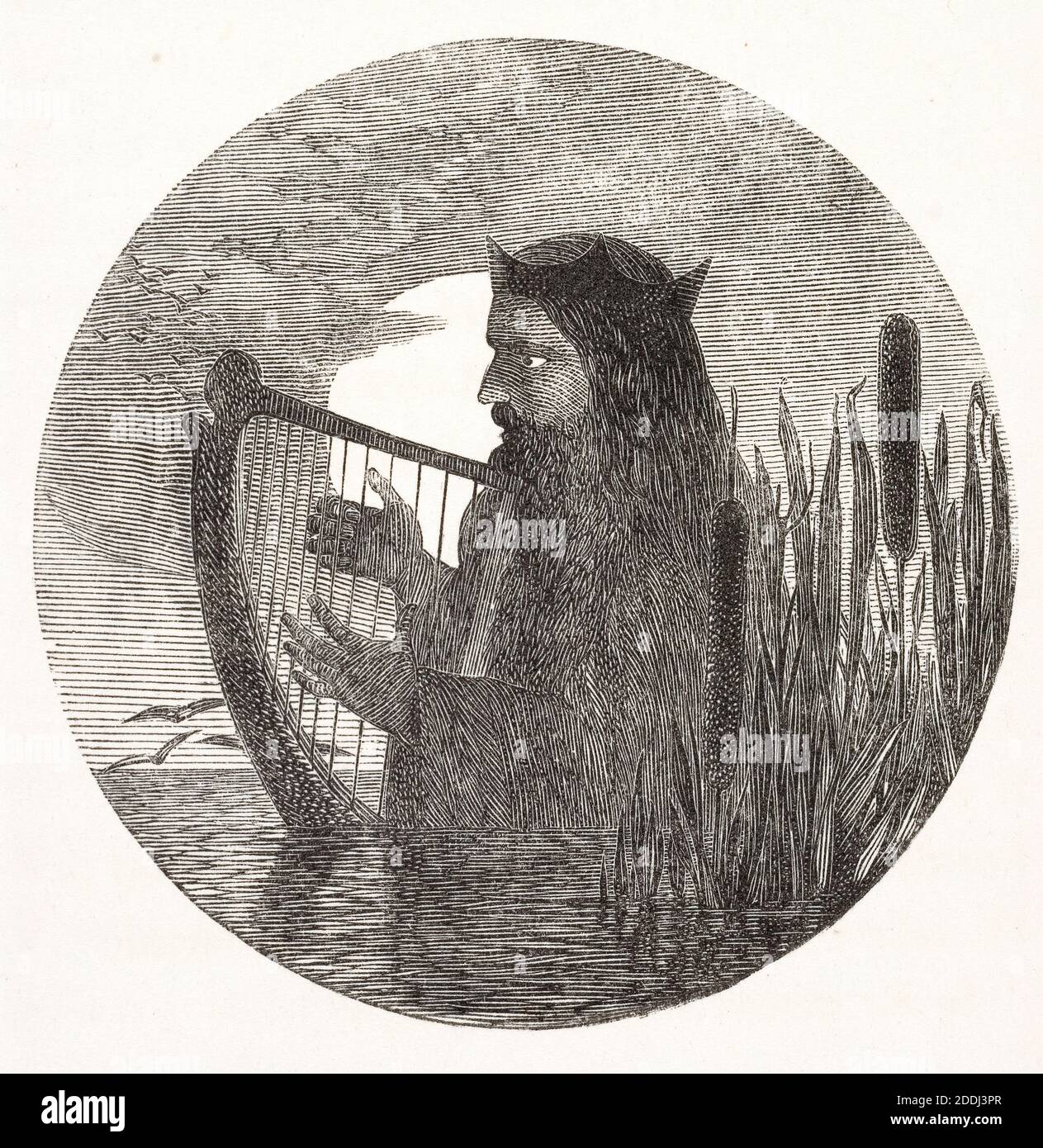 The Fairy Family, A Series of Ballads & Metrical Tales Illustrating the ...