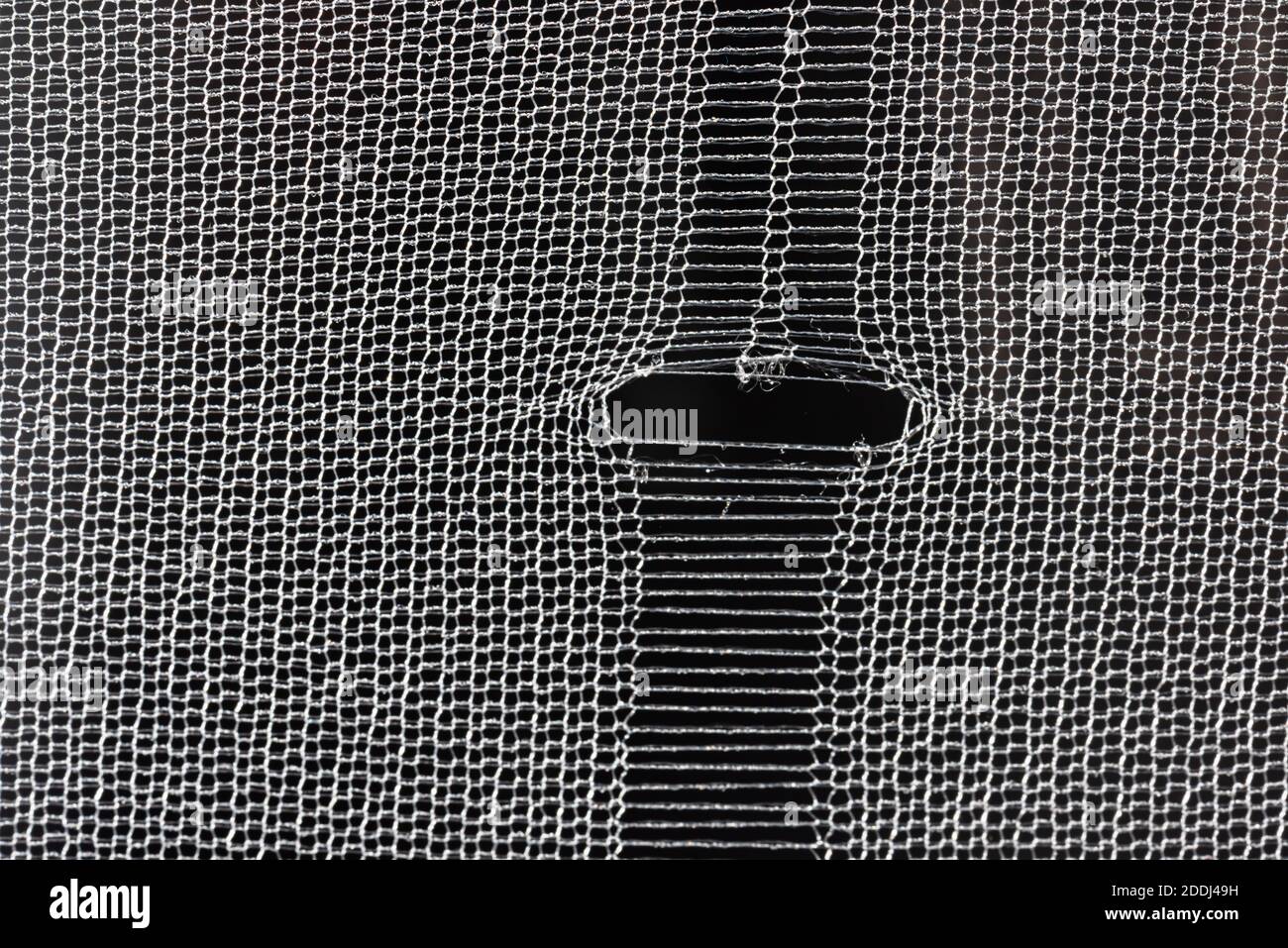 Texture of ripped fine white mesh Stock Photo - Alamy