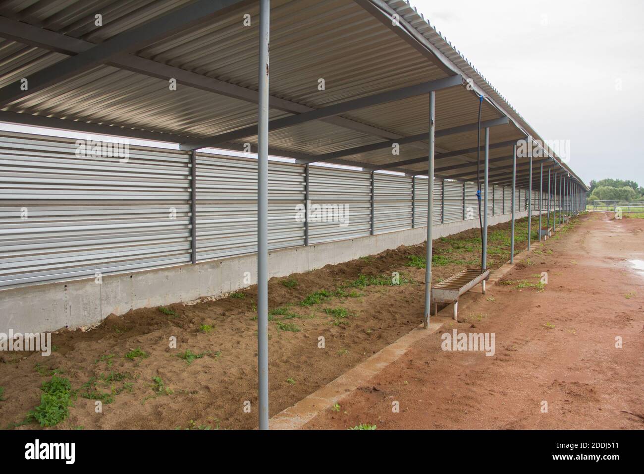 New canopy for cows. Agricultural buildings on the farm Stock Photo - Alamy