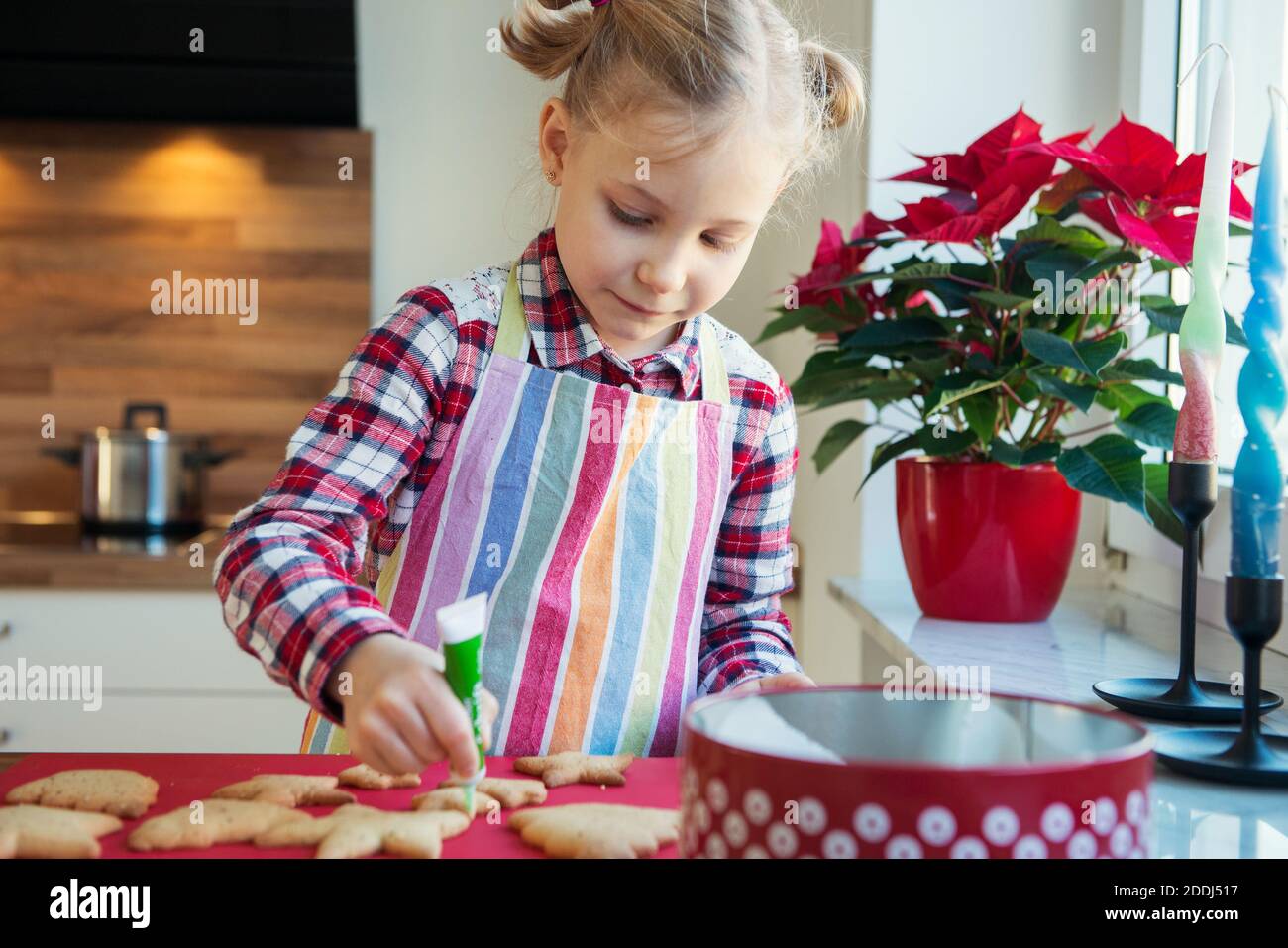 Pretty little girl with funny pigtails decoraiting christmas cookies of ...