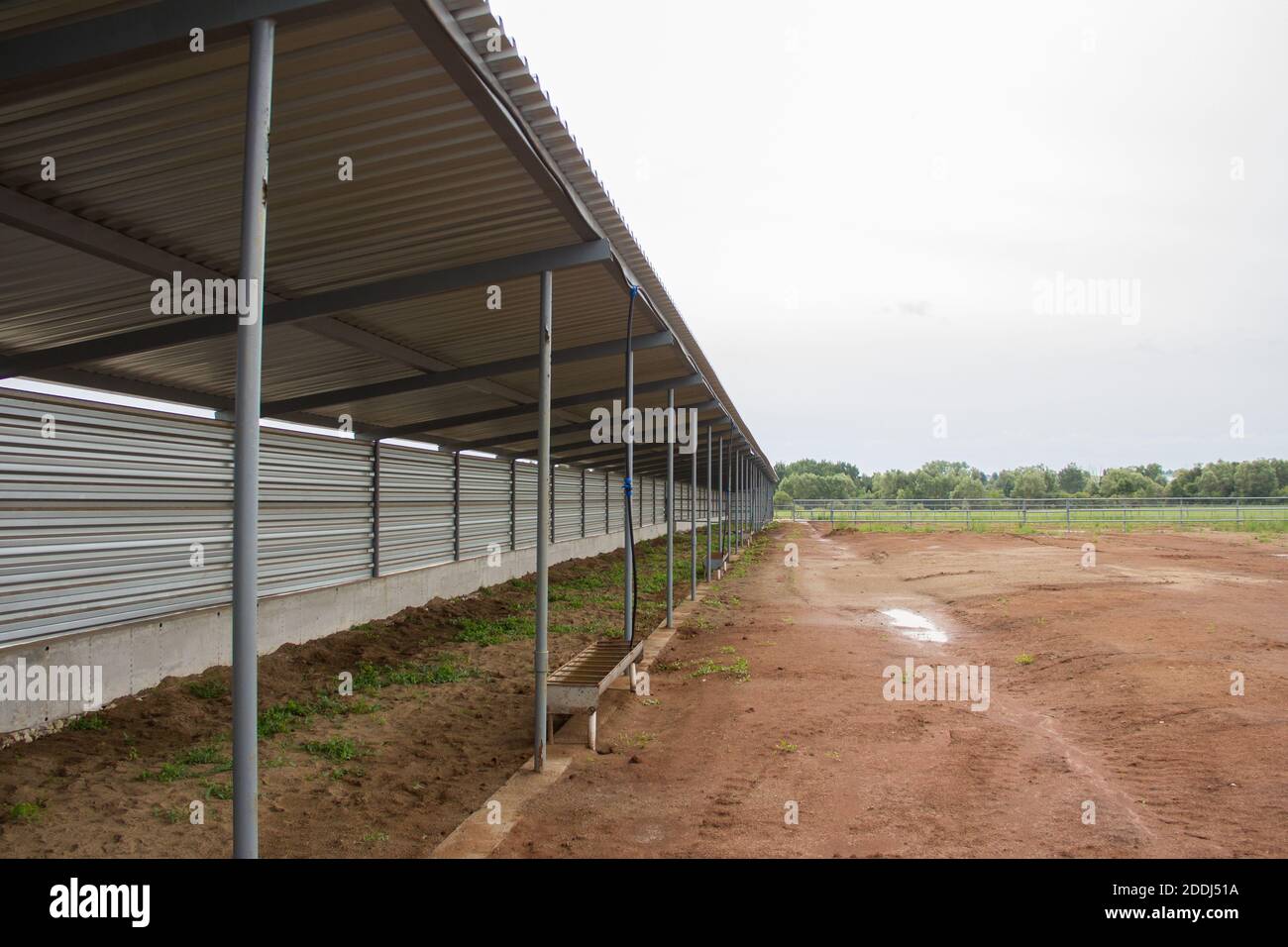 New canopy for cows. Agricultural buildings on the farm Stock Photo - Alamy