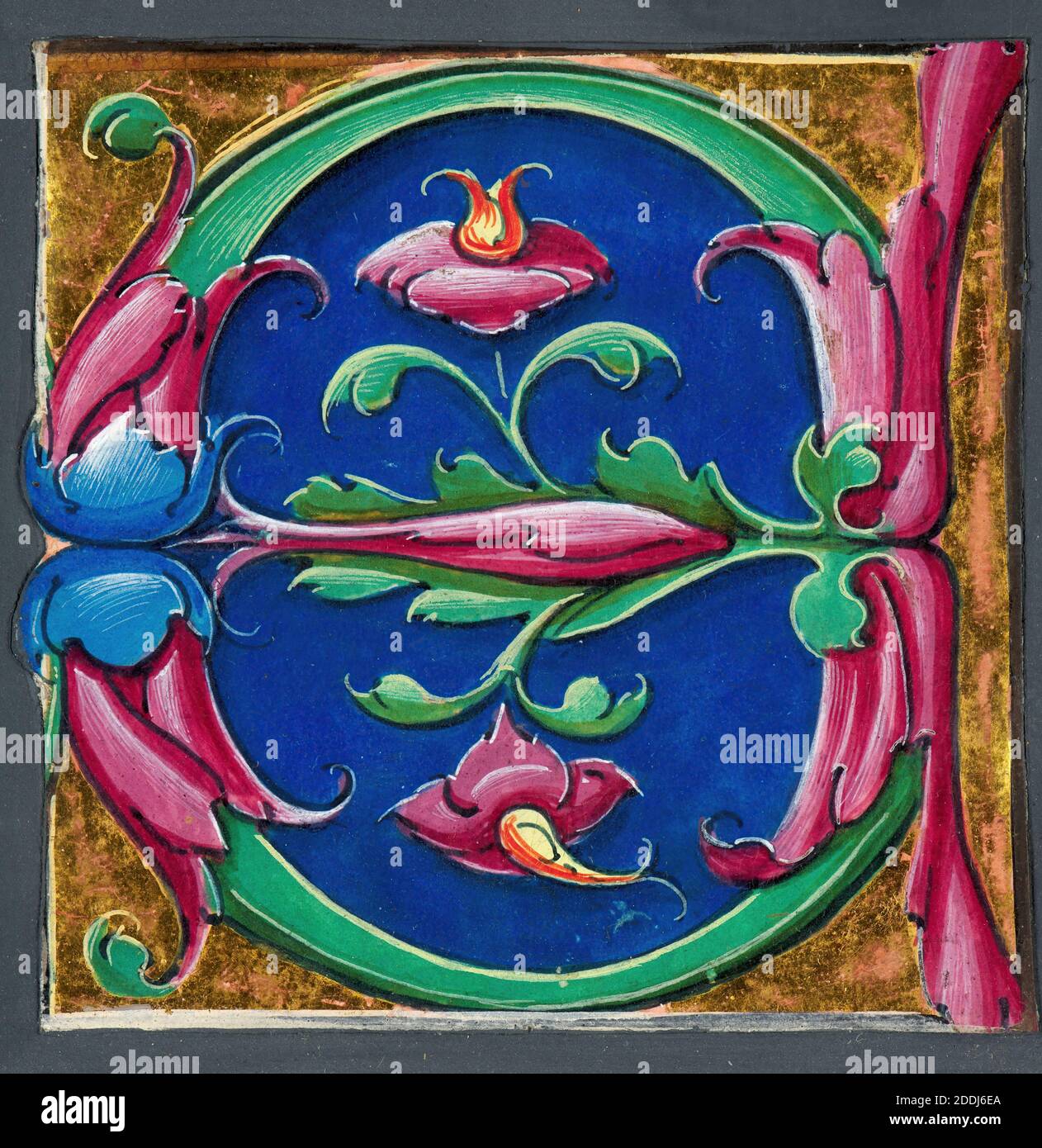 Decorated initial letter 'G', 1530 Unknown Artist, North Italian School ...