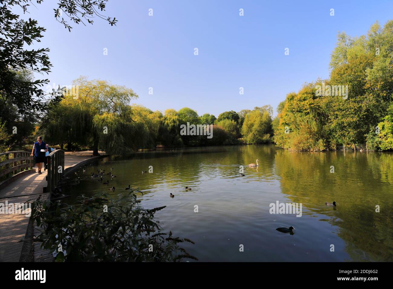 Welwyn garden city, hertfordshire hi-res stock photography and images ...