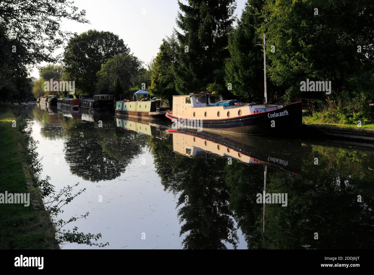 River bulbourne hi-res stock photography and images - Alamy