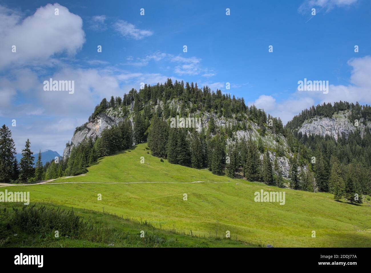 Almwiese mit baum hi-res stock photography and images - Alamy