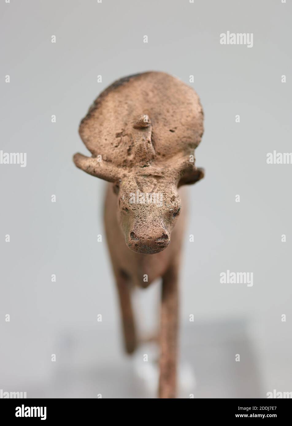 Apis Bull Ancient Egypt, Late Period The bull is wearing disk with the ...
