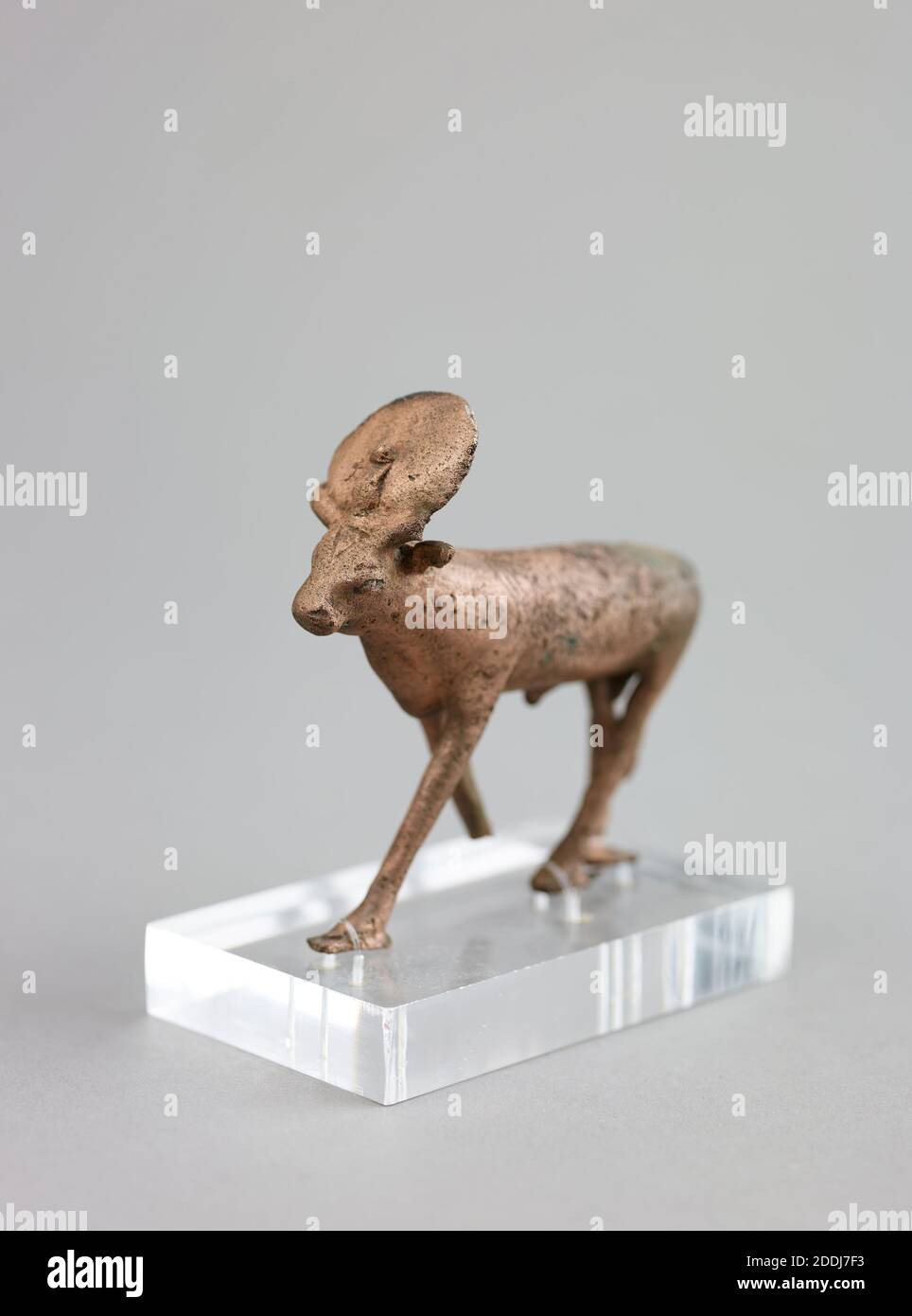 Apis Bull Ancient Egypt, Late Period The bull is wearing disk with the ...