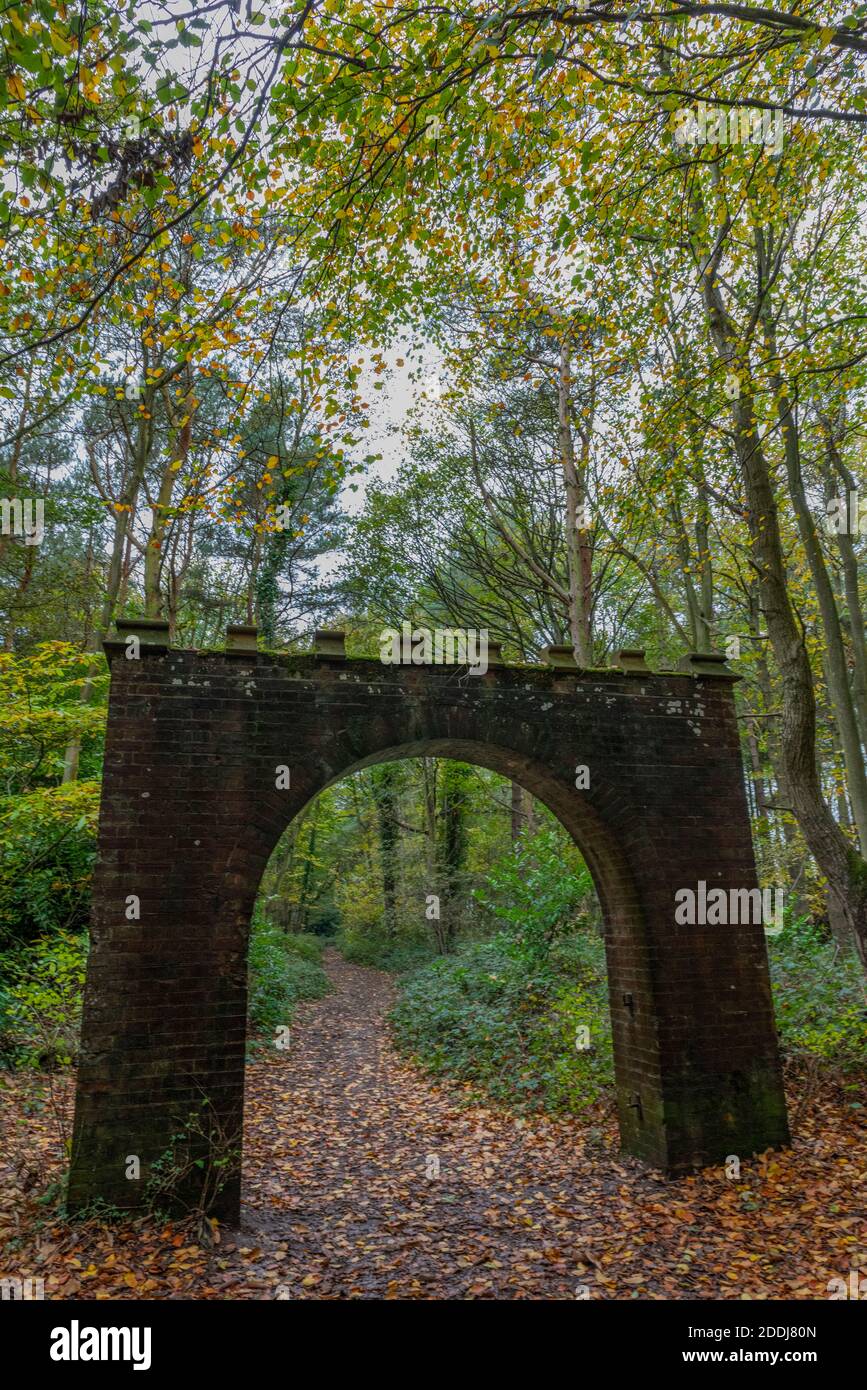 a woodland with a stone historic archway leading to a mysterious forest ...