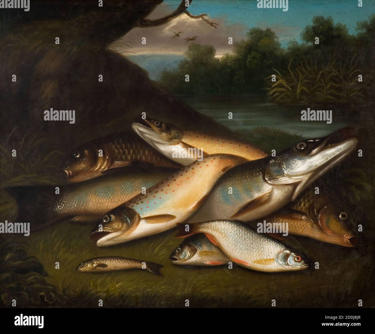 Fish, 1790 By Moses Haughton, Oil Painting, Still life, Fish Stock ...