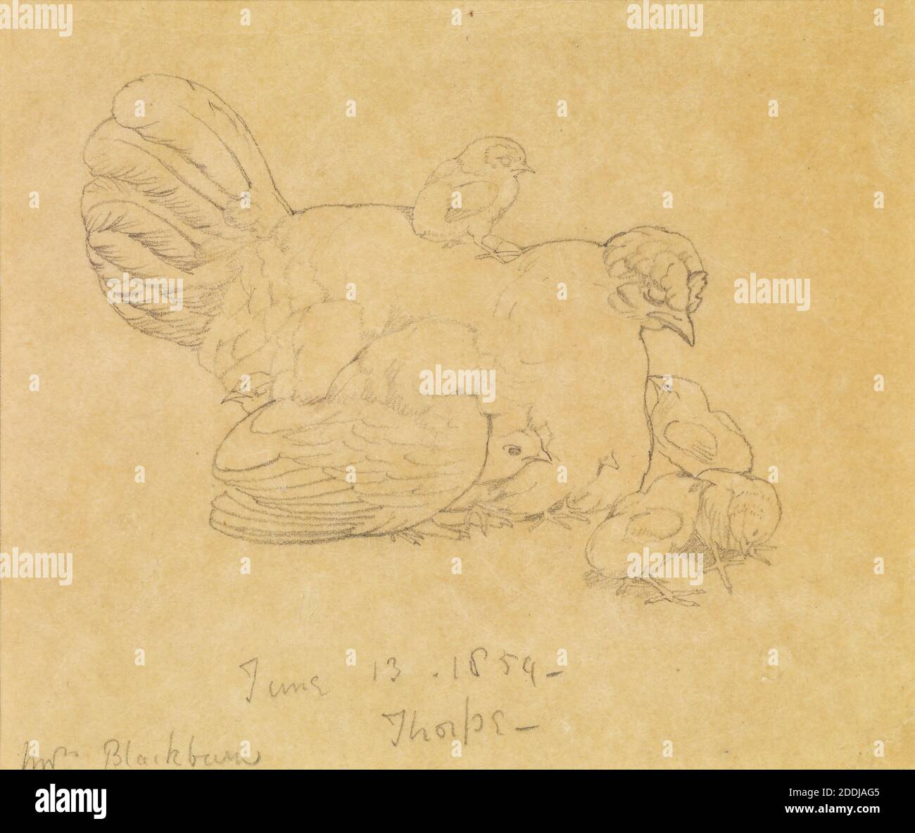 Frederick sandys pencil hi-res stock photography and images - Alamy