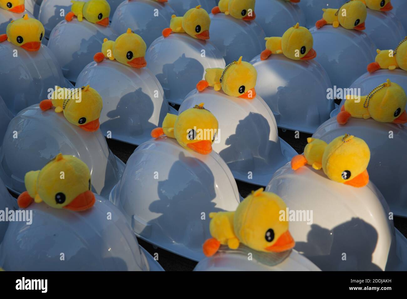 Protesters prepare helmet with Inflatable yellow ducks during the ...
