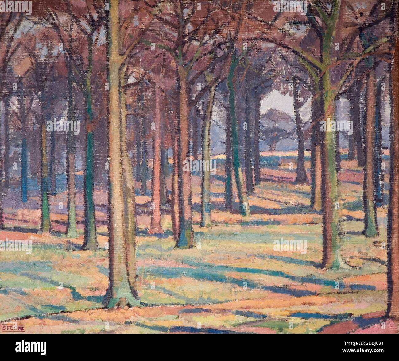 Wood in Richmond Park, 1914 By Spencer Frederick Gore (d.1914), Tree ...