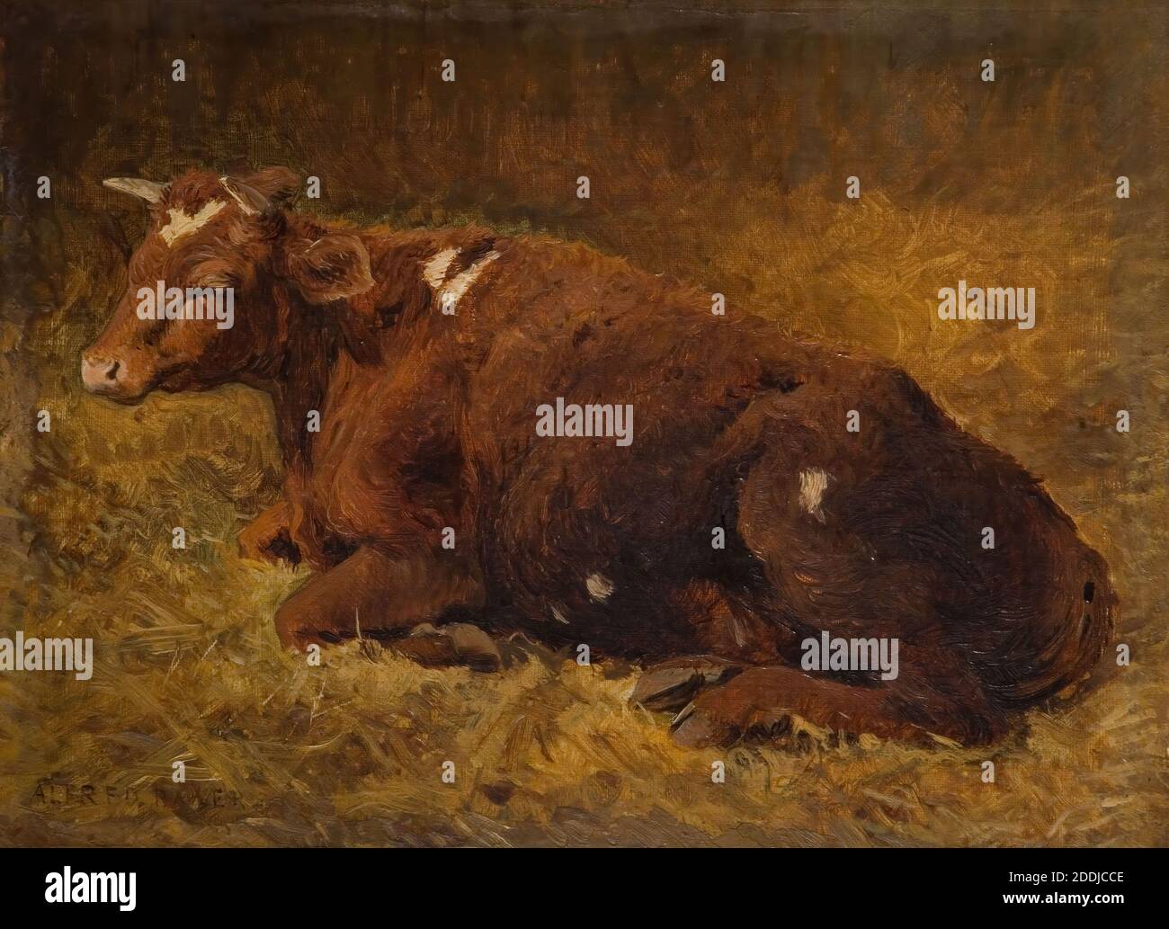 A Cow Lying On The Ground 1865-1872 Alfred Baker, Oil Painting, Animal ...