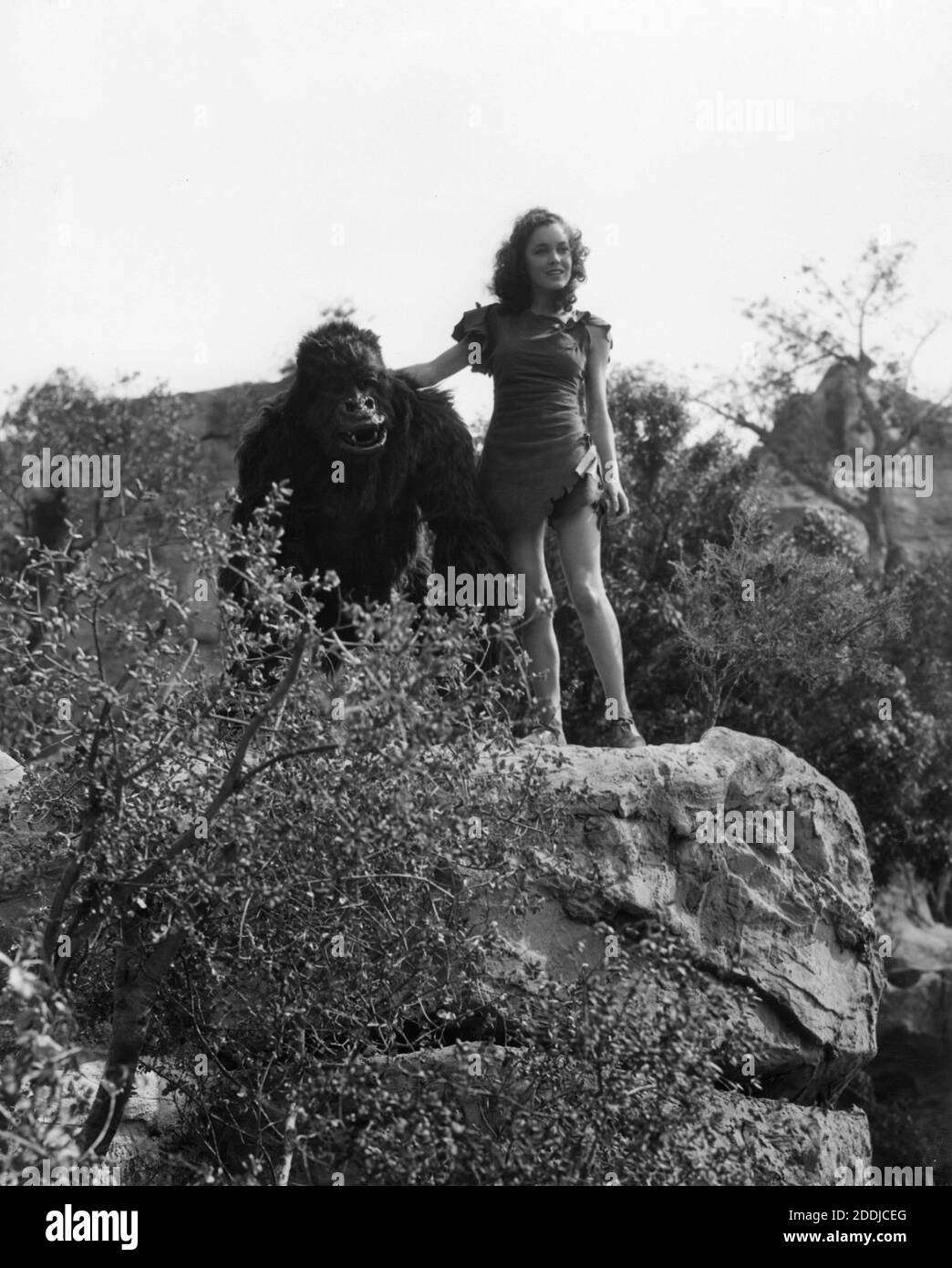 Tarzan ape man aka tarzan hi-res stock photography and images - Alamy