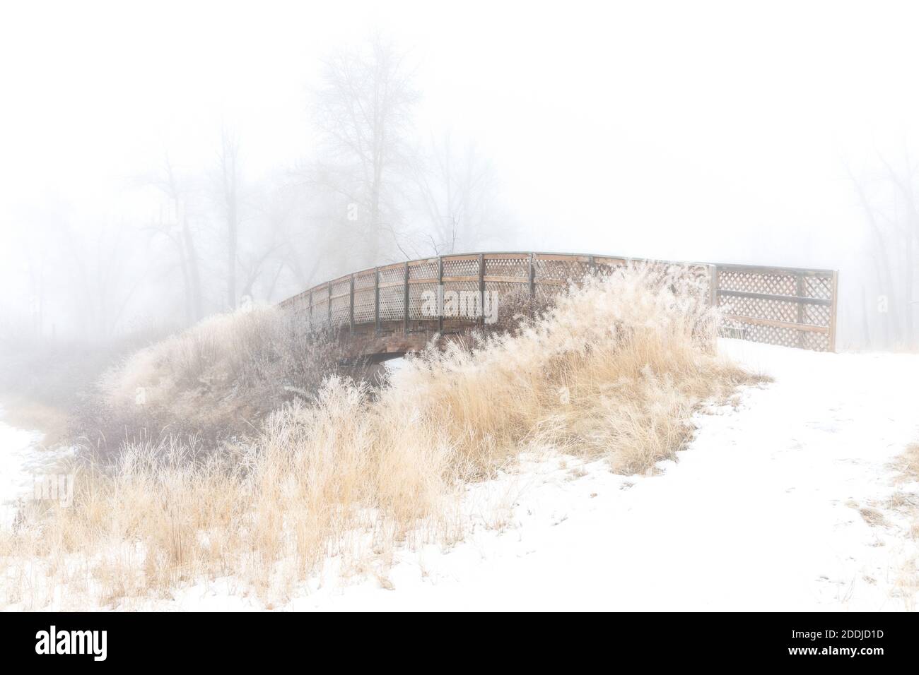 St patrick's bridge calgary hi-res stock photography and images - Alamy