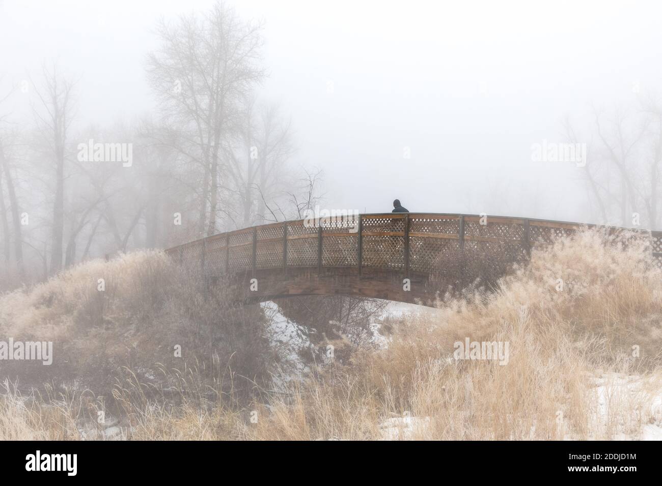 St patrick's bridge calgary hi-res stock photography and images - Alamy