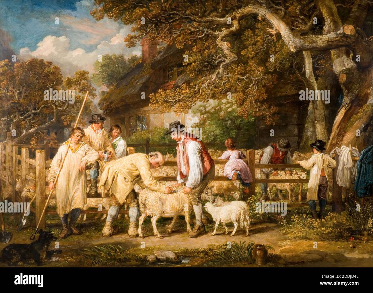 Controlling scabies hi-res stock photography and images - Alamy