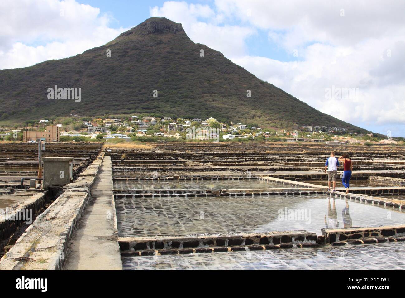 Tamarin mauritius salt hi-res stock photography and images - Alamy