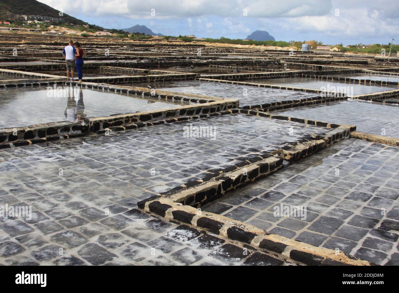 Tamarin traditional salt pans in Mauritius Stock Photo - Alamy
