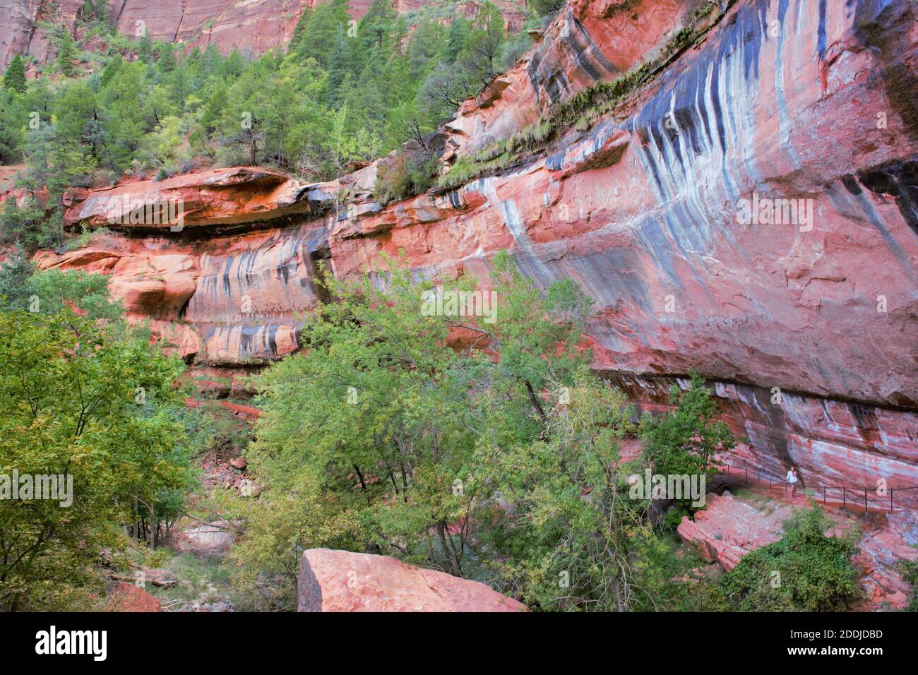 Emerald Ponds Trail in Zion National Park Stock Photo - Alamy