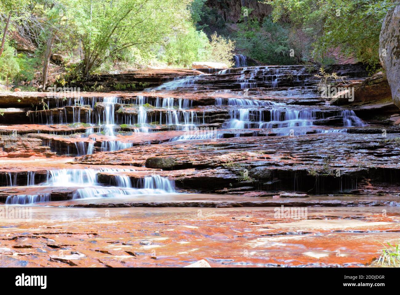 Subway trail in Zion National Park Stock Photo - Alamy