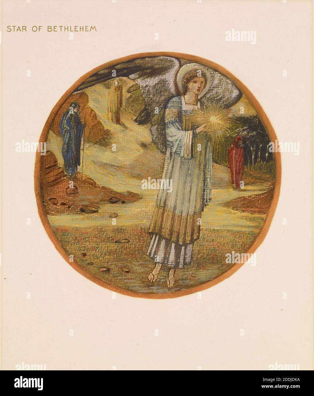 The Flower Book, Star of Bethlehem From The Flower Book, 1905 Sir ...