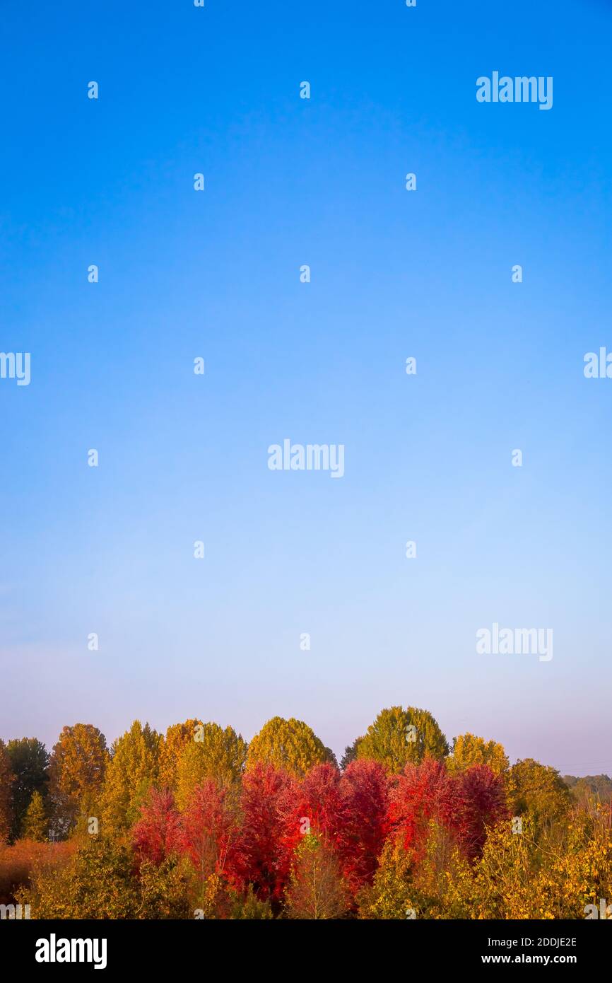 Blue sky fall day hi-res stock photography and images - Alamy