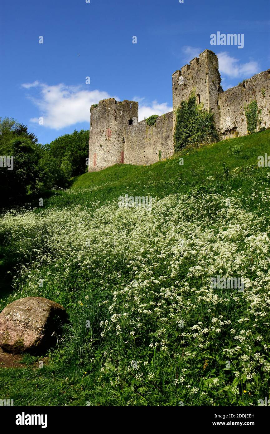 Anglo saxon castle wales hi-res stock photography and images - Alamy