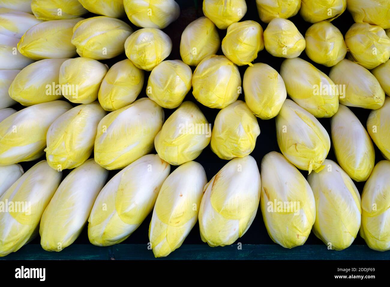 White Belgian endives at a farmers market Stock Photo - Alamy