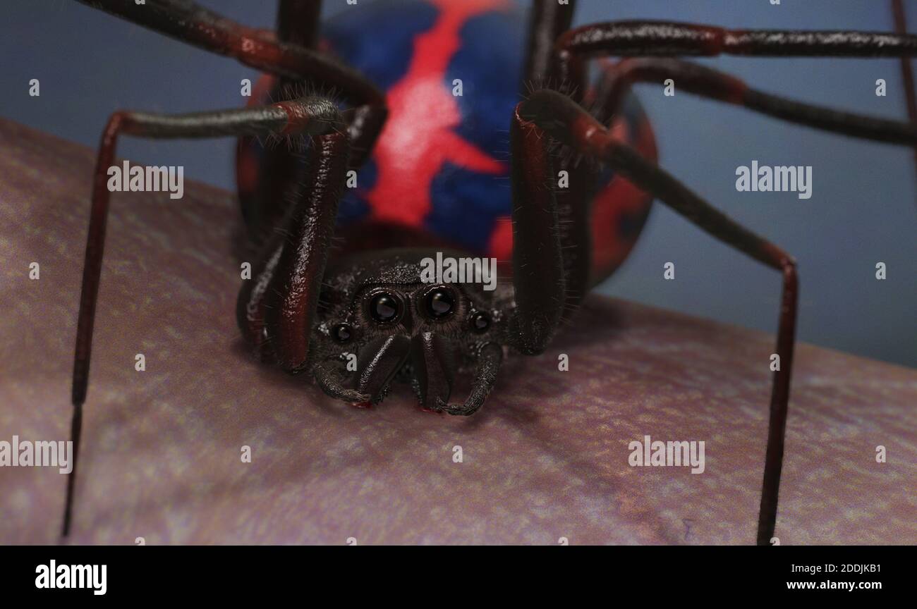 Scene Still, "Spider-Man" (2002) Photo credit: Sony Pictures / The ...