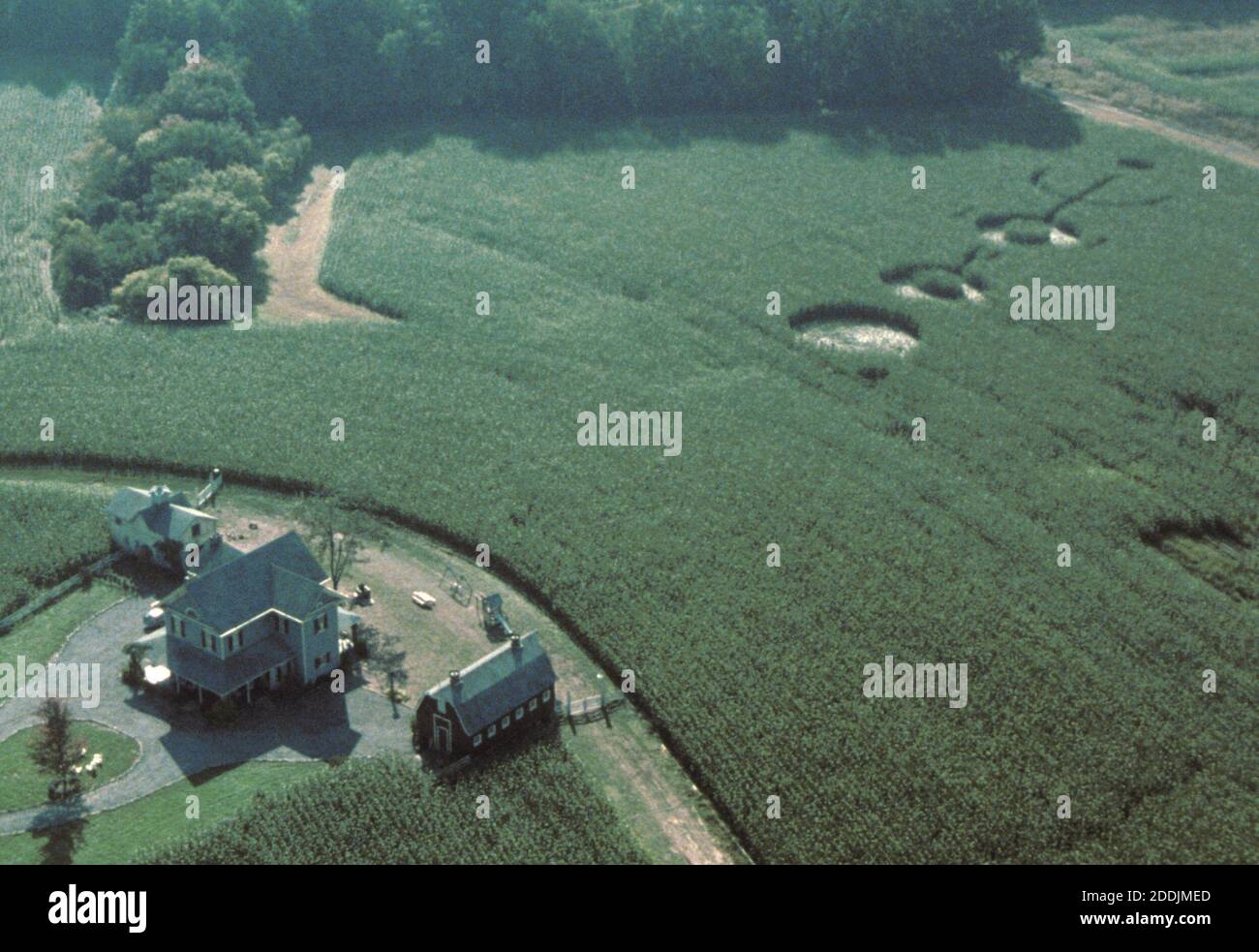 Scene Still, "Signs" (2002) Photo credit: Touchstone / The Hollywood ...