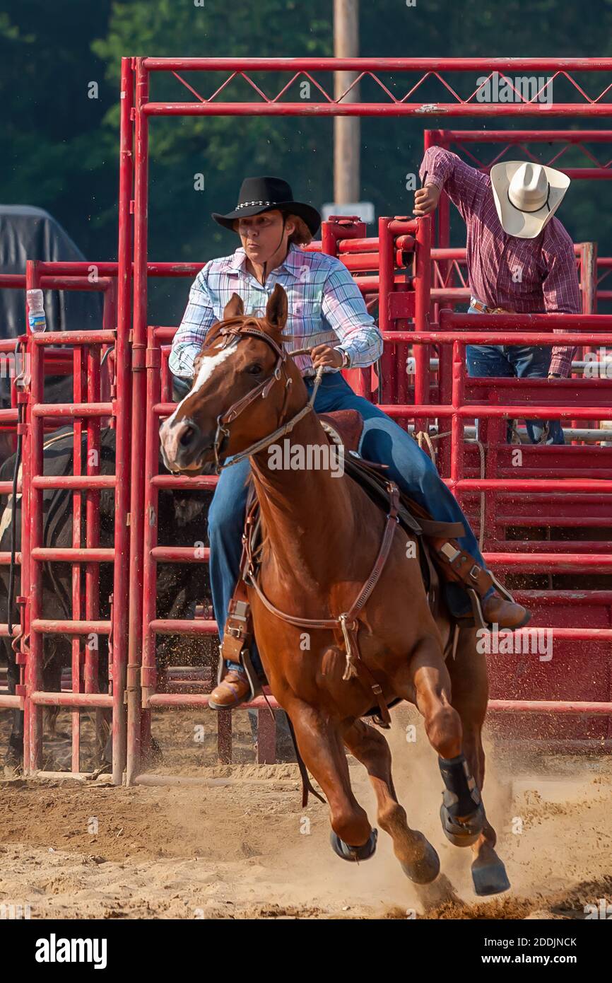 Barrel Racer at a western rodeo event Stock Photo - Alamy