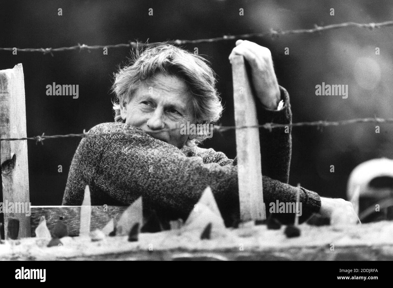 Film director roman polanski in hi-res stock photography and images - Alamy