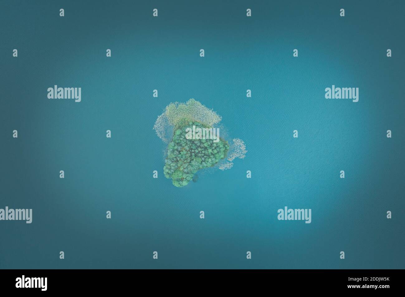 Aerial top down view of small island on the lake, green toned image ...