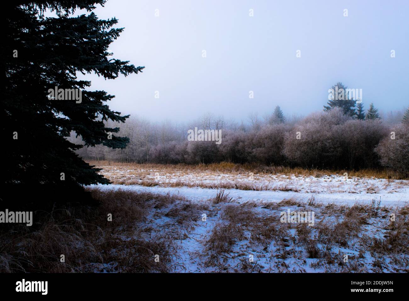 Frosty scenery hi-res stock photography and images - Alamy