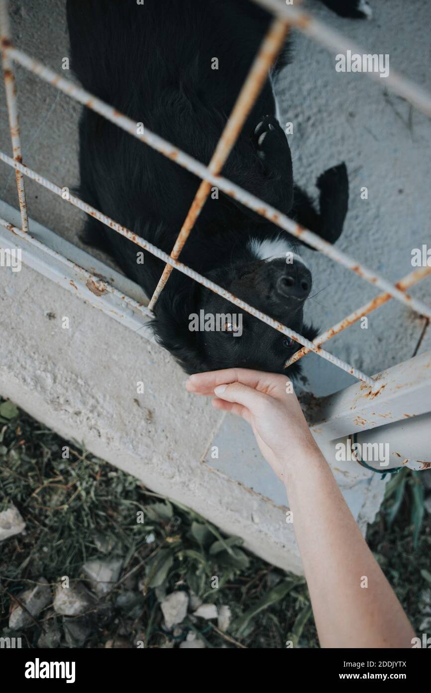 Vertical hand rails hi-res stock photography and images - Alamy