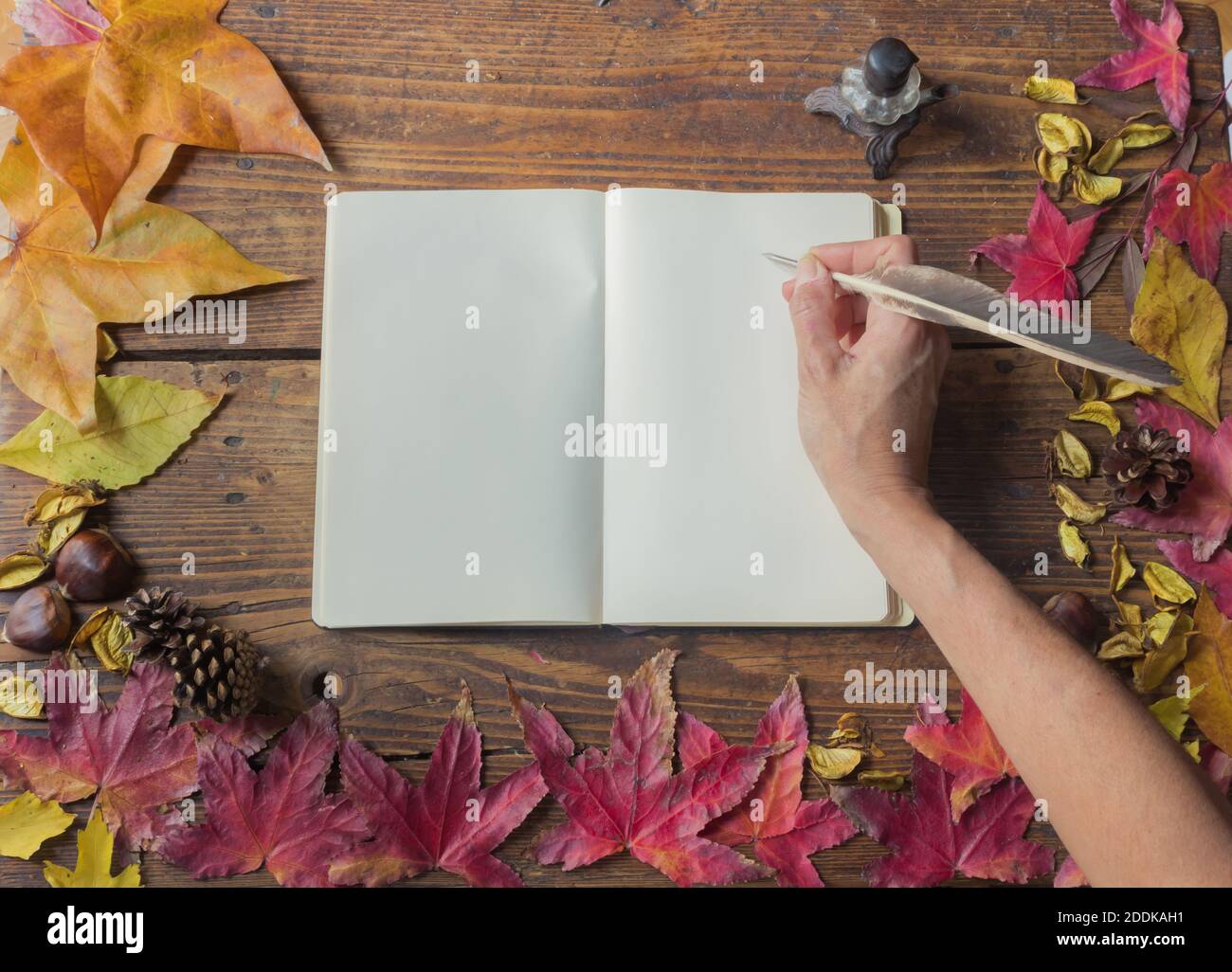 Human hand writing with pen on blank book, Autumn still life with ...