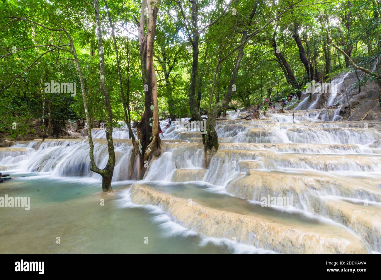 Natural Attraction In Abra