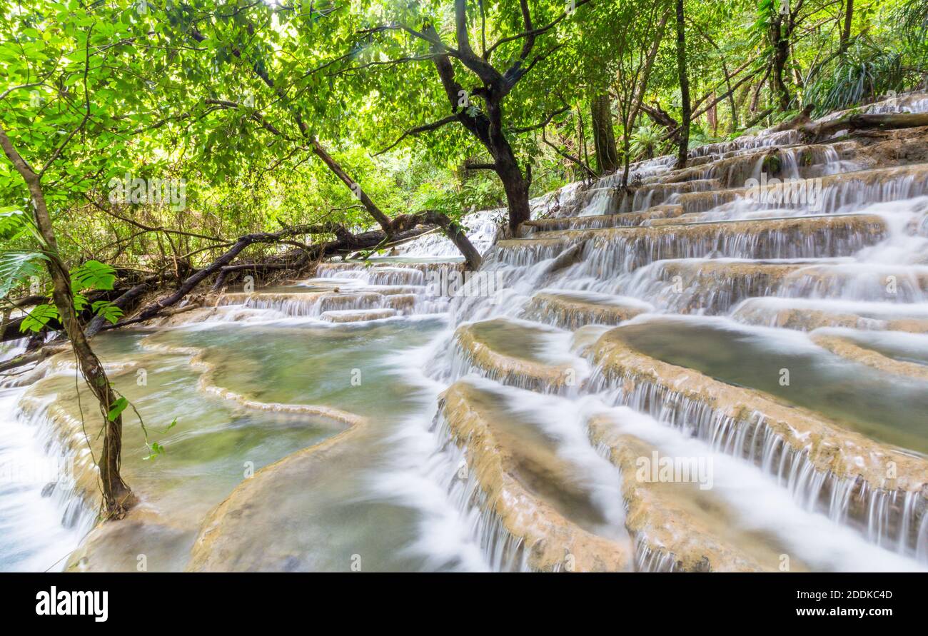 Natural Attraction In Abra