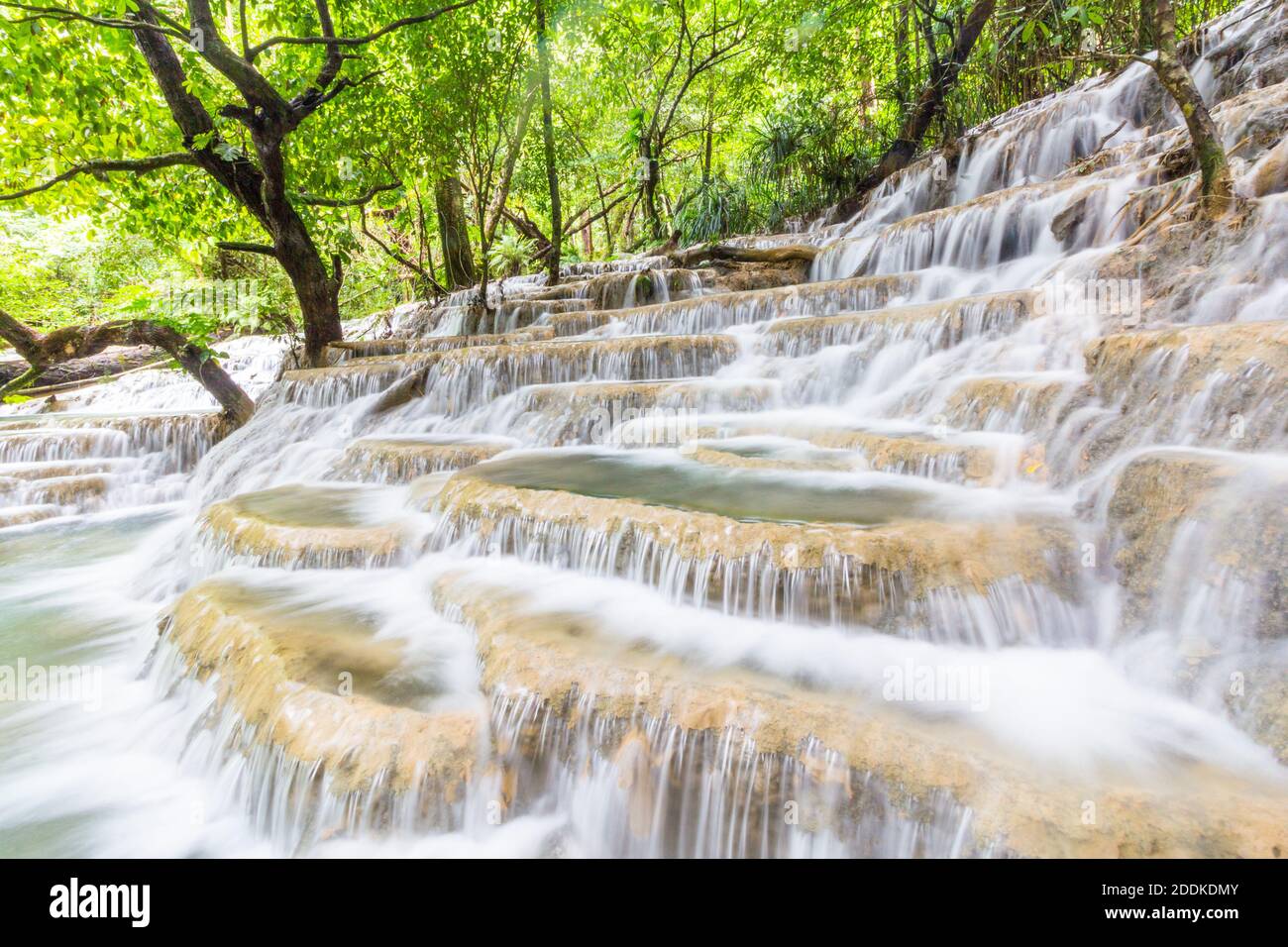 Natural Attraction In Abra
