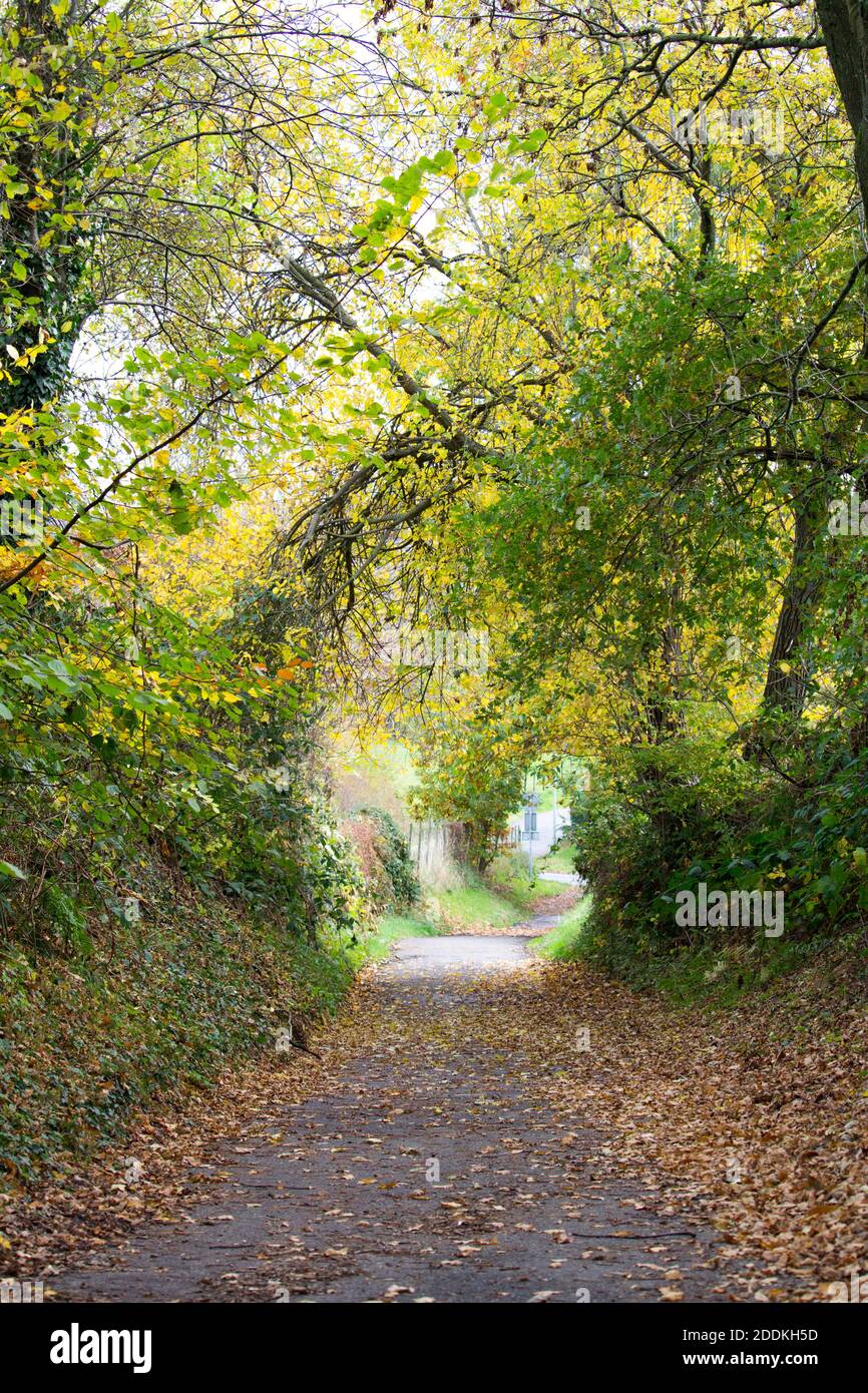 A vertical beautiful shot of an autumn park narrow walkway covered with ...