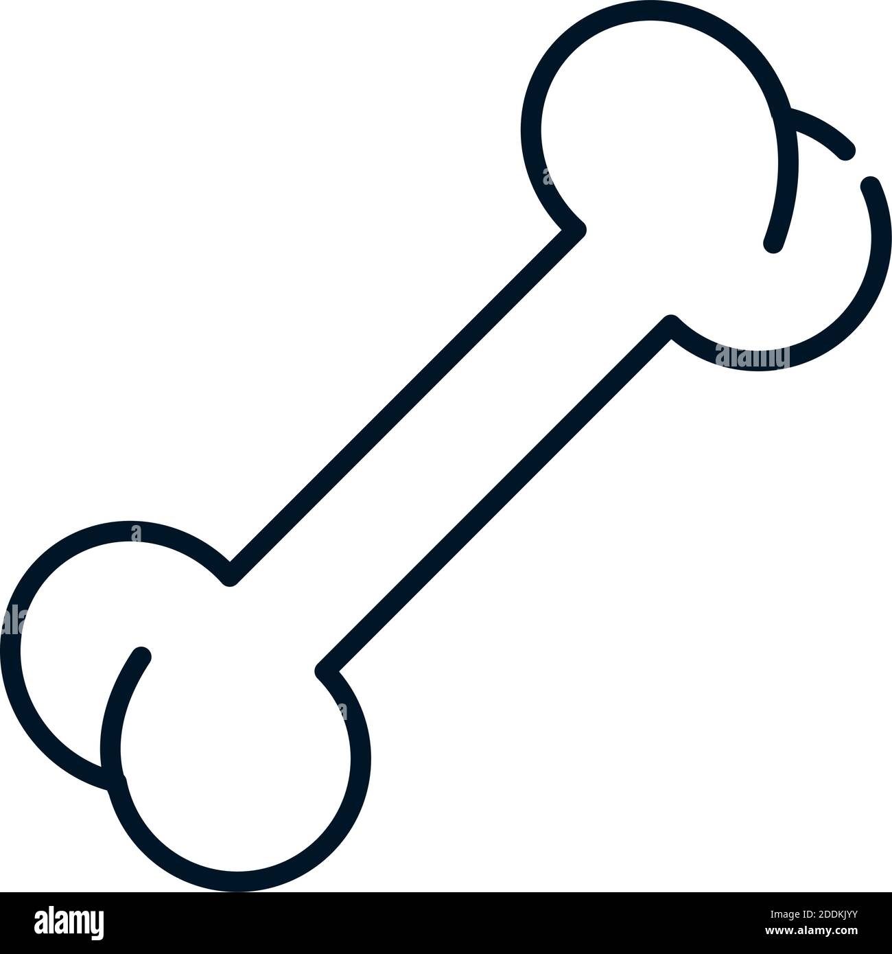 Anatomic physiology Stock Vector Images - Alamy