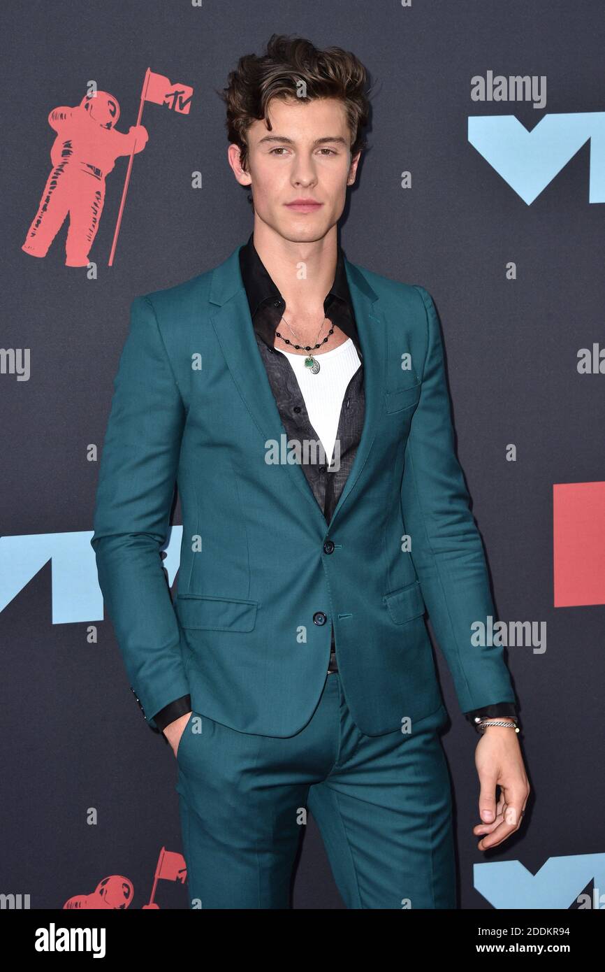 Shawn Mendes attends the 2019 MTV Video Music Awards at Prudential ...