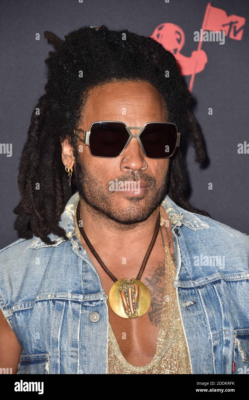 Lenny Kravitz attends the 2019 MTV Video Music Awards at Prudential ...