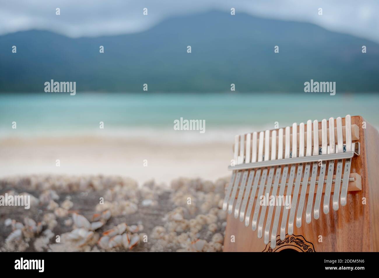 Kalimba or mbira is an African musical instrument. Kalimba made from ...