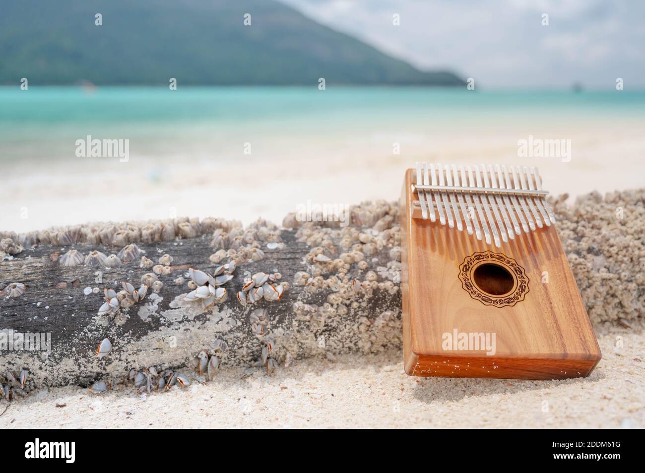 Kalimba or mbira is an African musical instrument. Kalimba made from ...