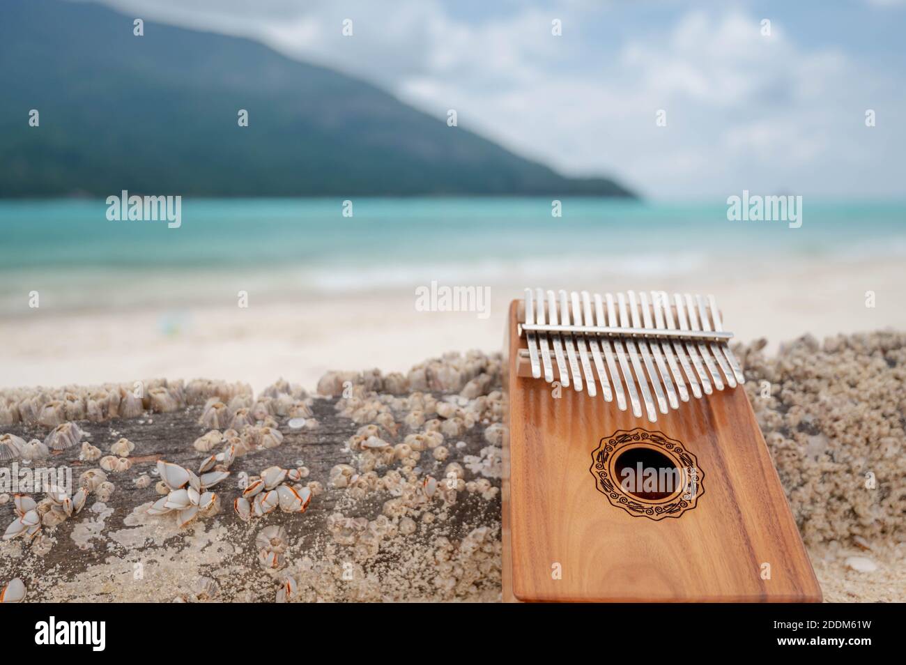 Kalimba or mbira is an African musical instrument. Kalimba made from ...