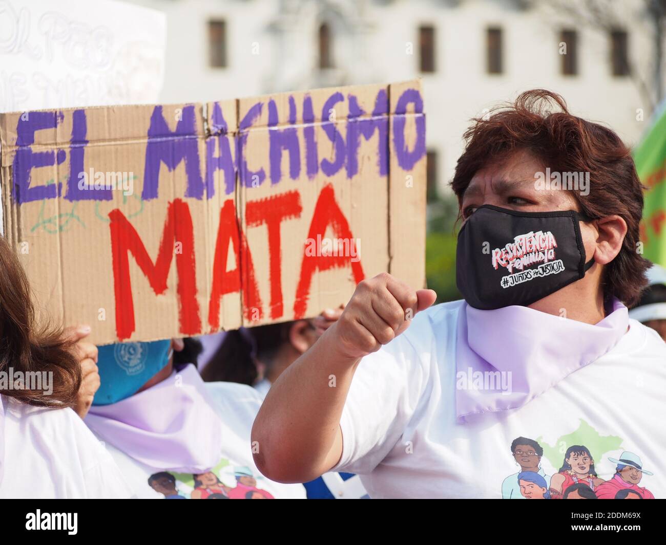 a woman and a poster "Machismo kills" when hundreds of feminists took ...